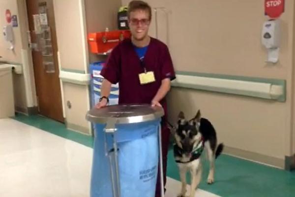 Autism Service Dogs, Autism Assistance Dogs, Autism Alert Dogs, Autism ...